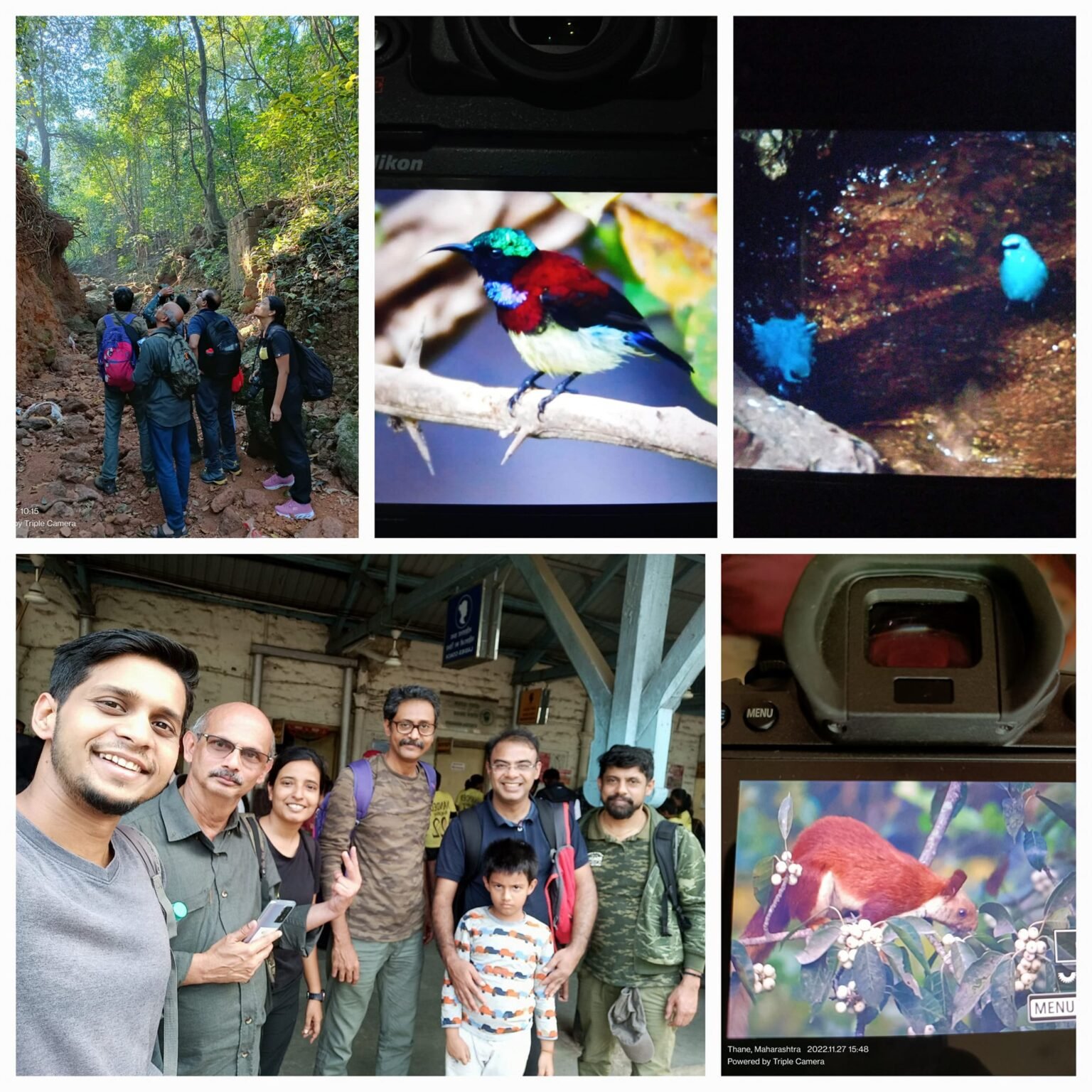 Join Our Tours - Jungle Buddies