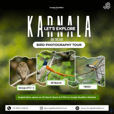Bird Photography tour to Karnala Sanctuary