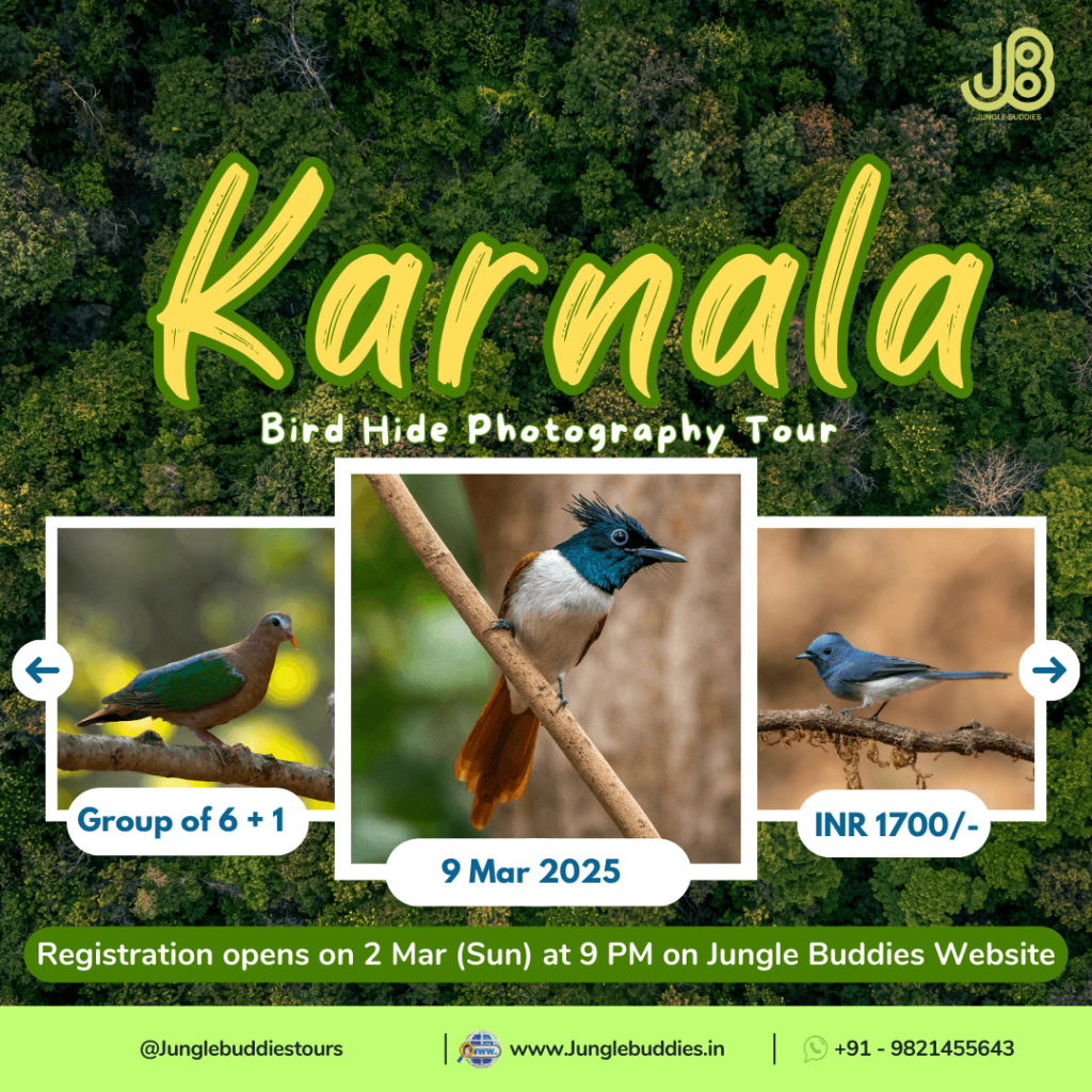 Join Our Tours - Jungle Buddies