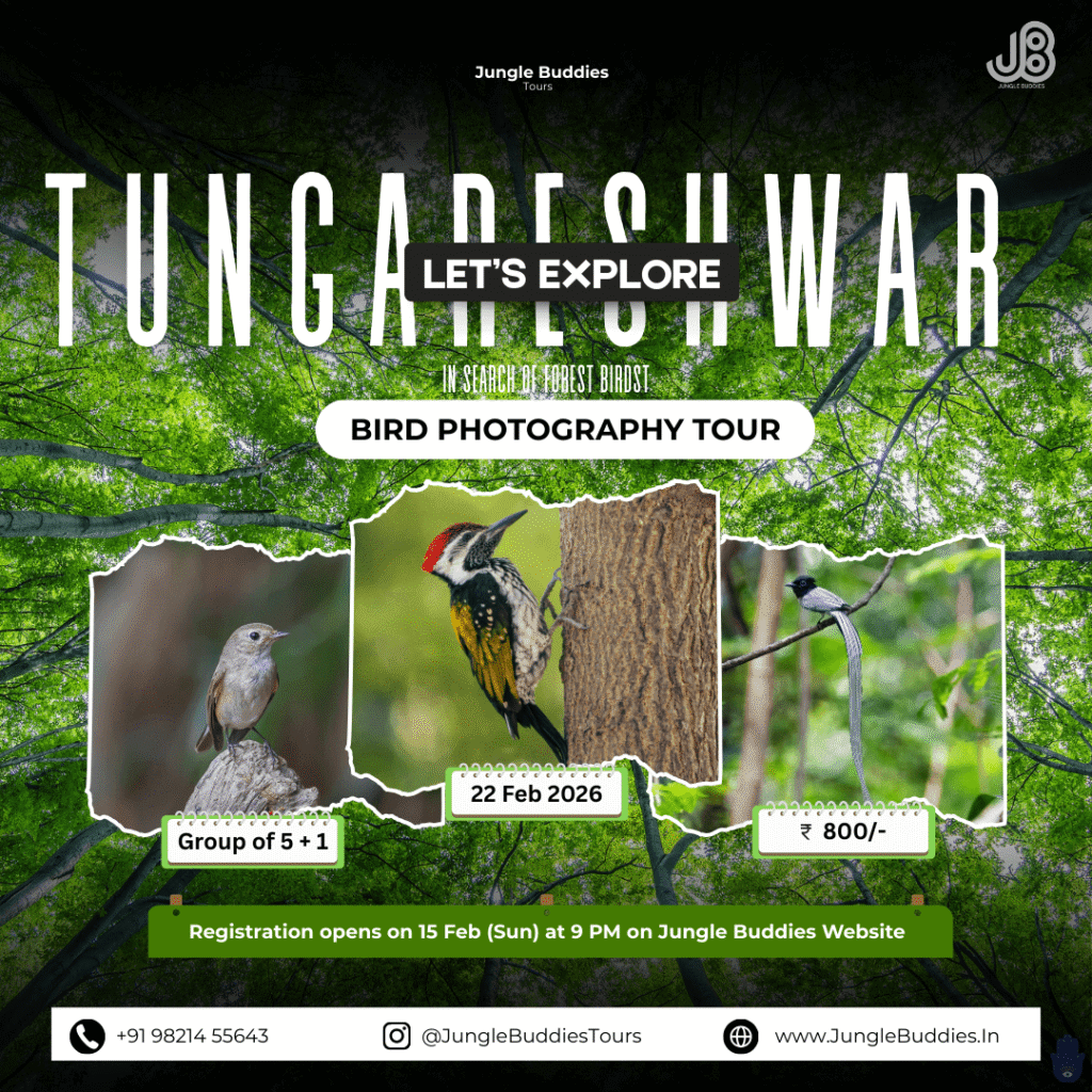 Explore Tungareshwar Wildlife Sanctuary
