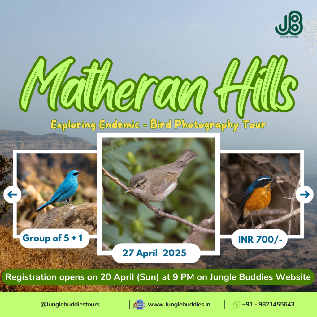 Matheran Hills Forest Walk - Jungle Buddies