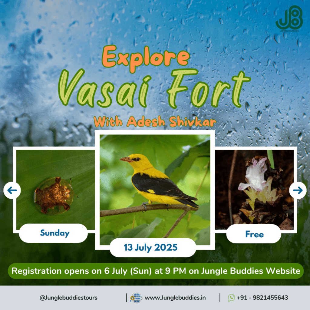 Explore Vasai Fort With Adesh Shivkar - Jungle Buddies