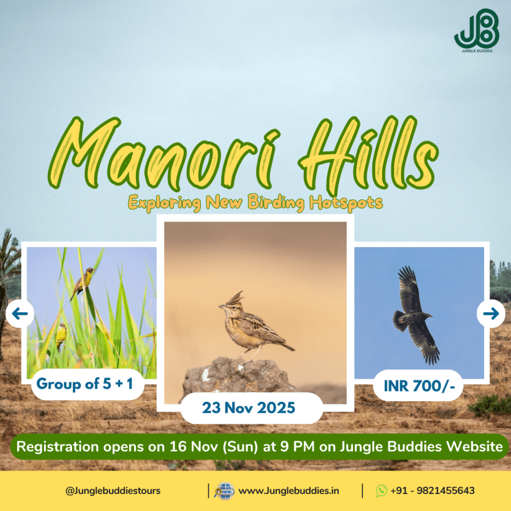Manori Hills - Jungle Buddies